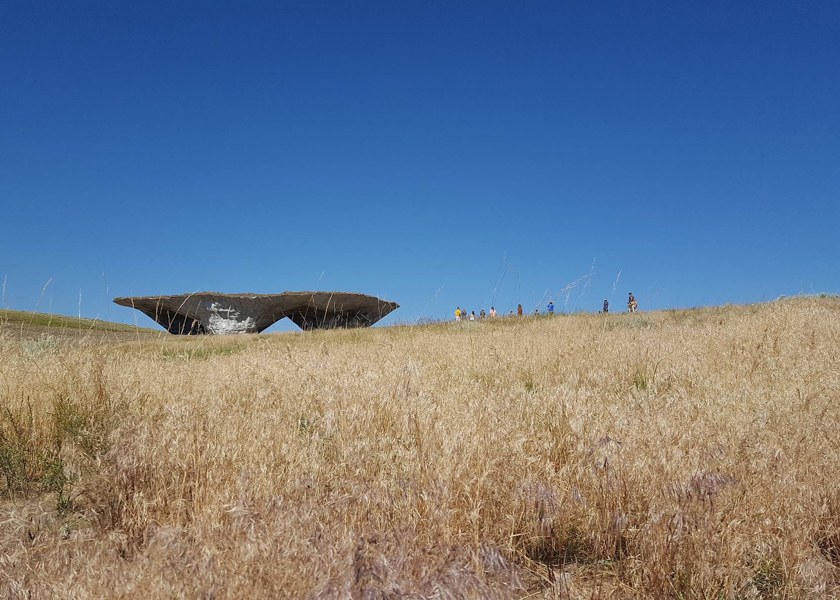 Montana Shakespeare in the Parks | The Sidney E. Frank Foundation